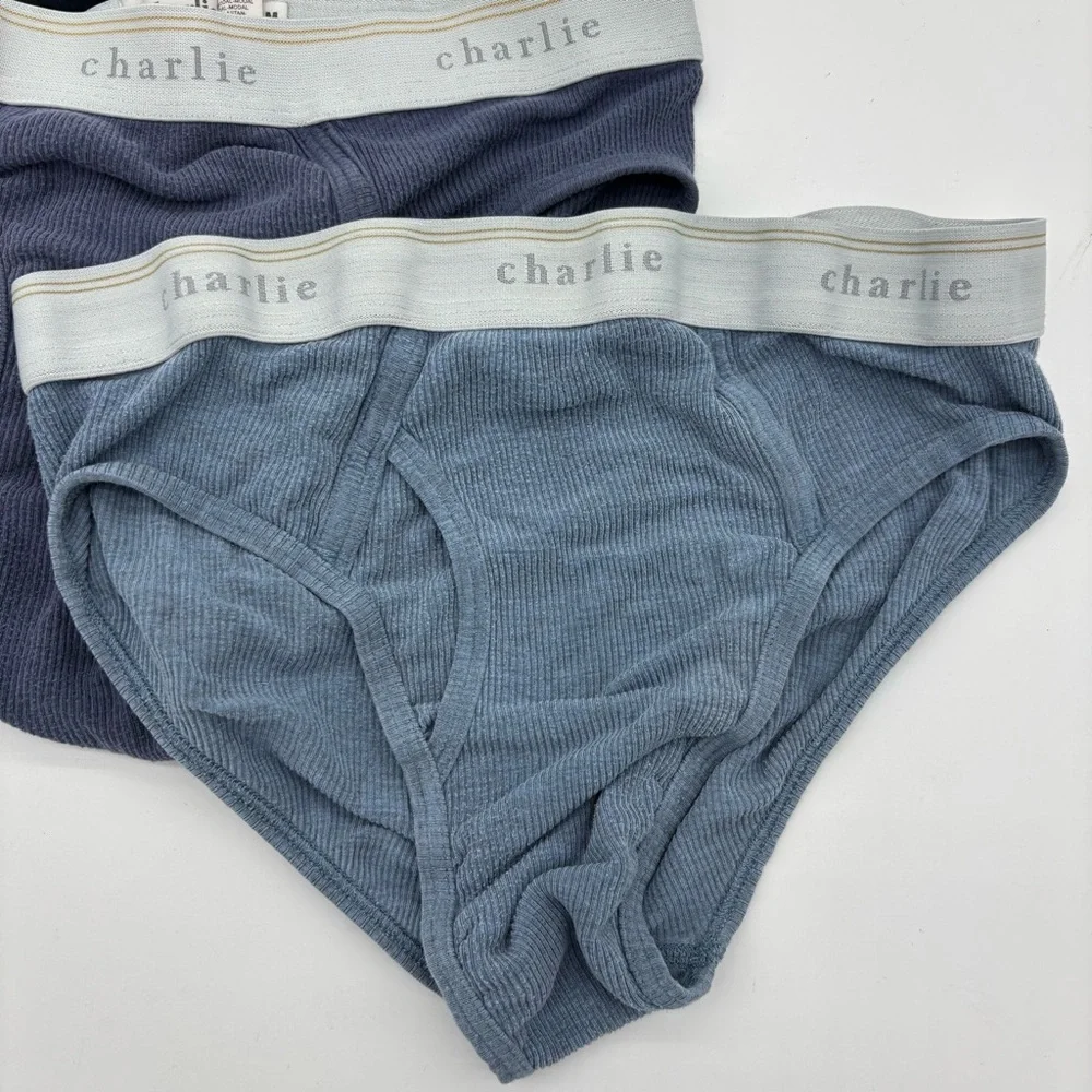 Charlies | Underwear & Socks | Charlie By Matthew Zink Four Briefs ...